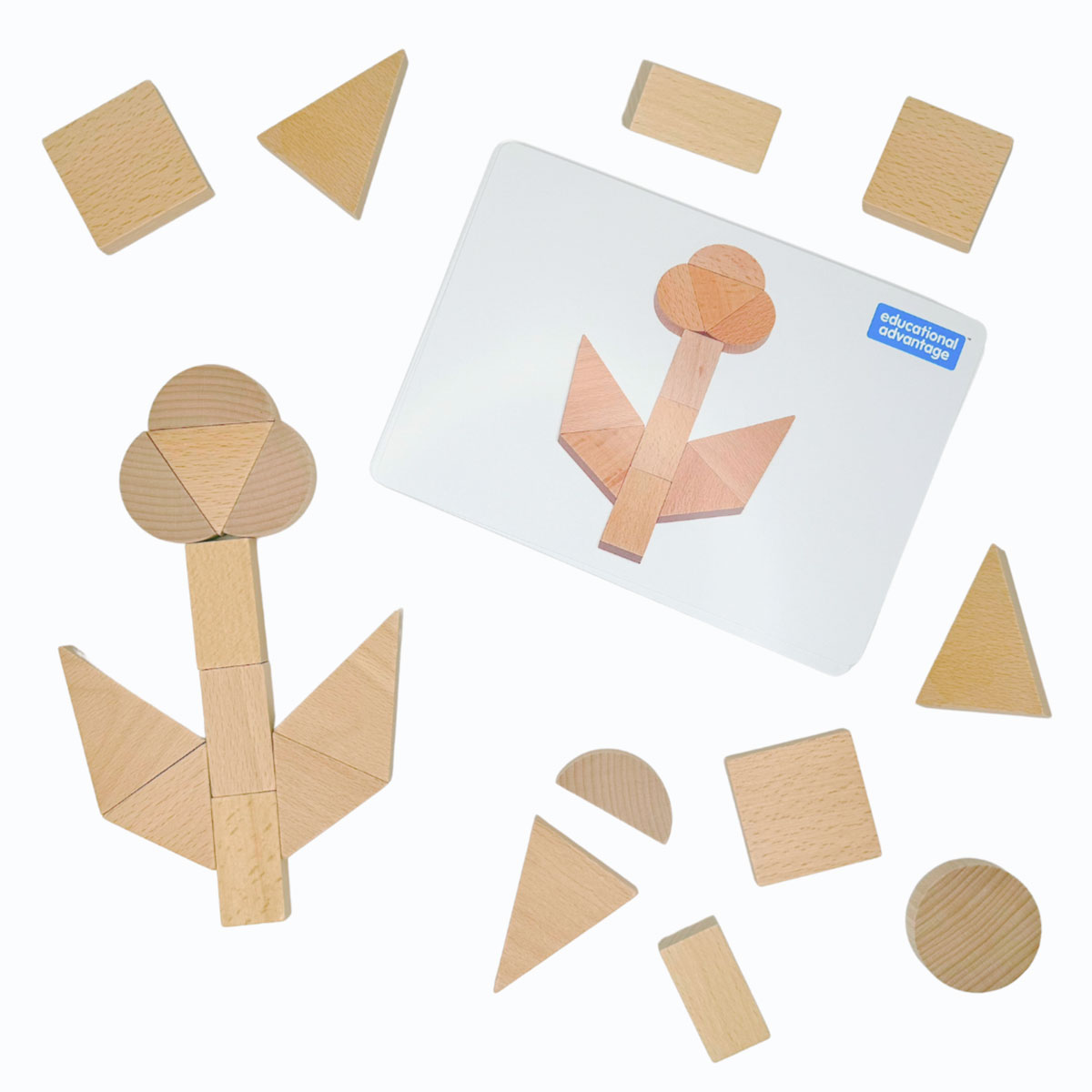 2D Wooden Shapes - Educational Advantage, Distributor for The Freckled ...